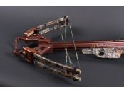 TenPoint Phantom CLS Ambrust bei ARROW IN APPLE