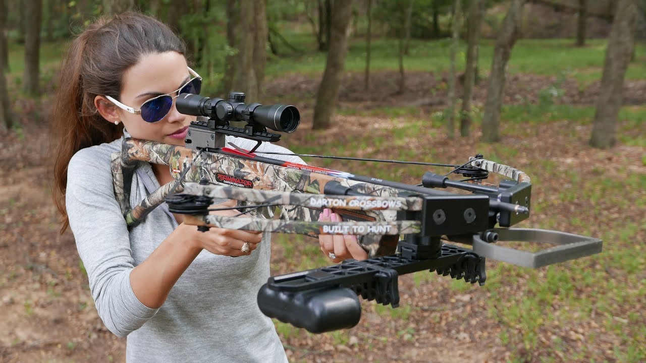 Darton Terminator II - ARROW IN APPLE